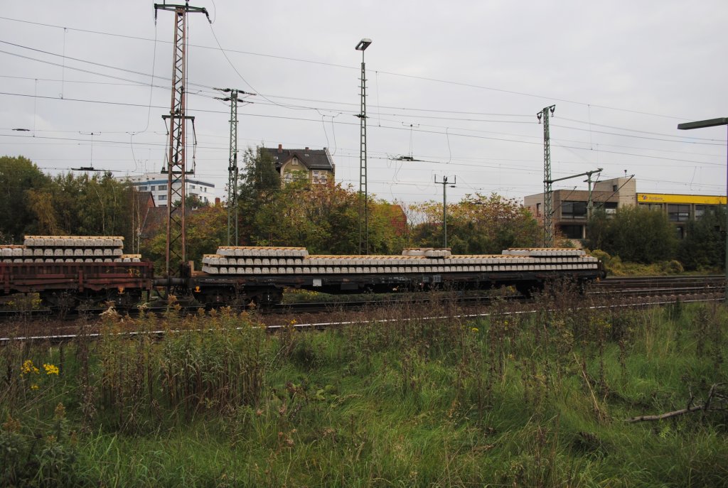 Einzelbild - Bahnbilder.de