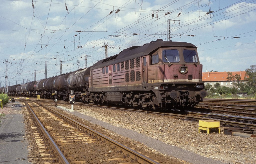 231 062 Großkorbetha 12.08.93 - Bahnbilder.de