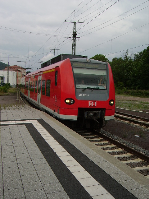 BR 425 der S-Bahn Rhein Neckar am 05.0.10 in Neckargemünd - Bahnbilder.de