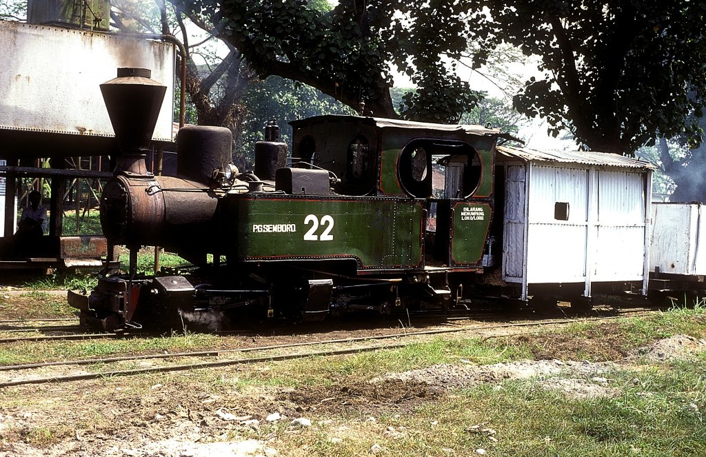 PG Semboro Mill, Java Fotos - Bahnbilder.de