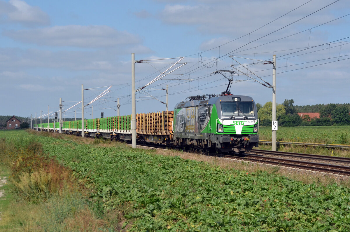 193 204 der SETG führte am 28.08.22 einen Holzzug durch Rodleben Richtung Roßlau - Bahnbilder.de