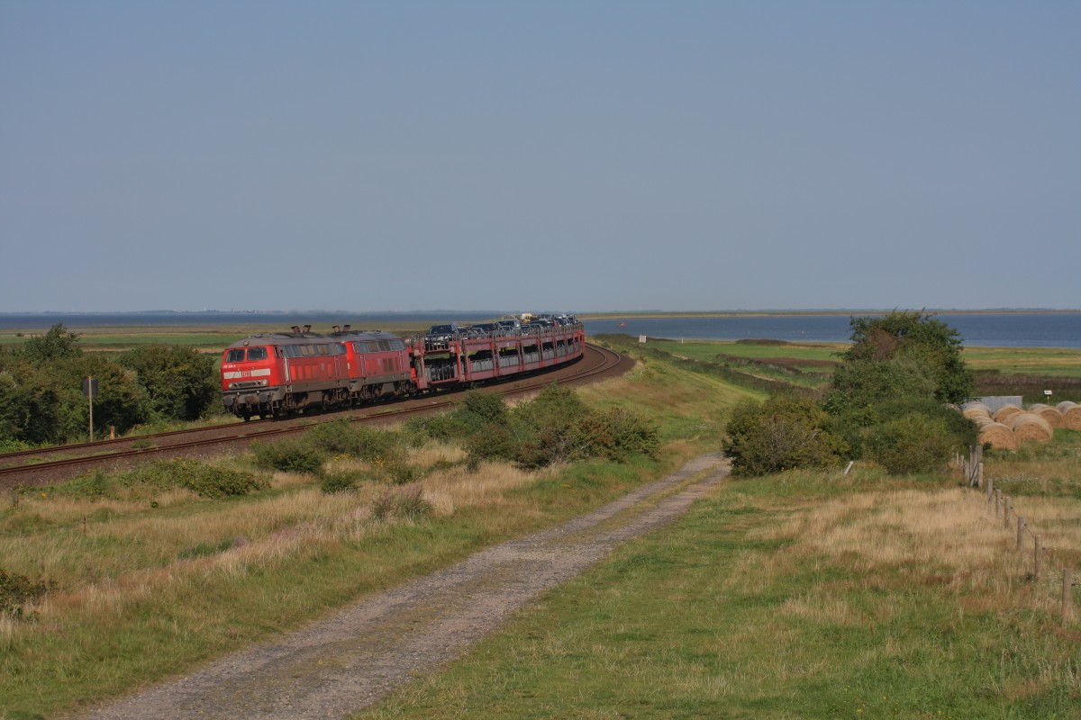 218 313 in Morsum-Nösse am 19.08.12 - Bahnbilder.de