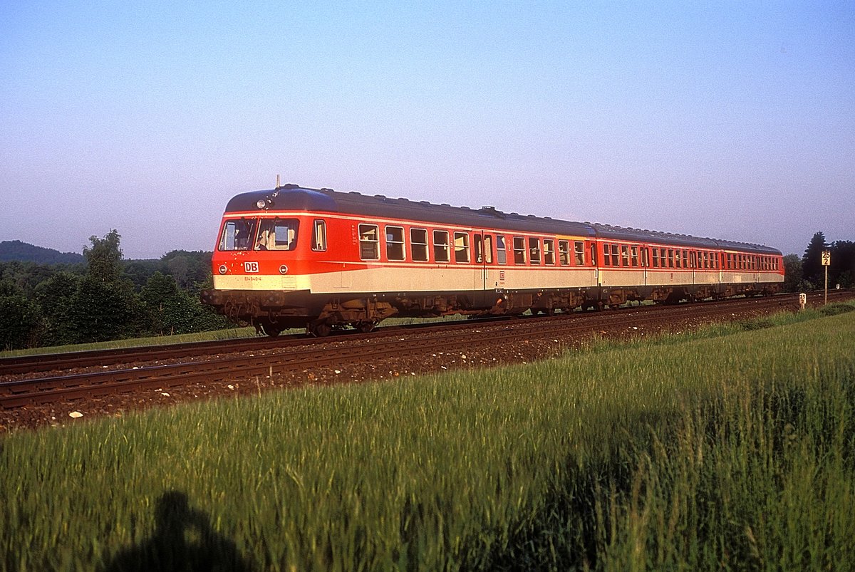 614 040 bei Hersbruck 01.06.96 - Bahnbilder.de