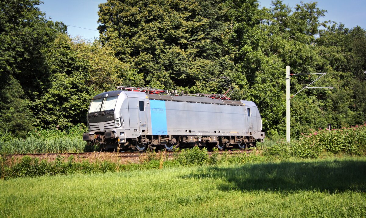 Die Br 193 097 von Railpool passiert hier den Kilometer 53 (etwa 1 Km südlich vom Bf - Bahnbilder.de