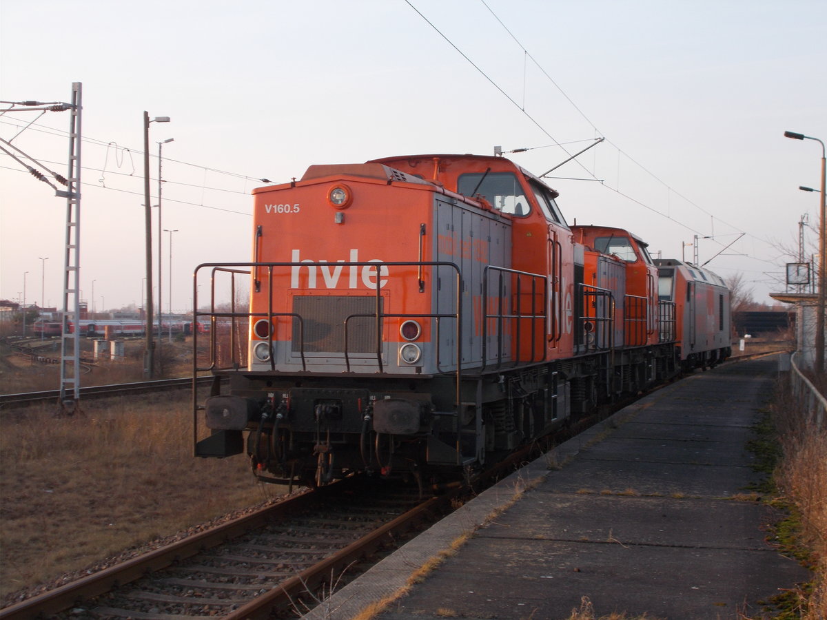 Gleich mit drei hvle Lok´s standen,am 29.Dezember 2016,in Mukran - Bahnbilder.de