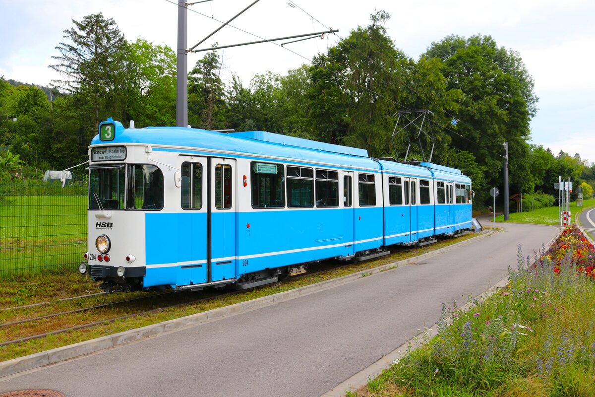 Duewag | GT6, GT8 | Gelenktriebwagen Fotos - Bahnbilder.de