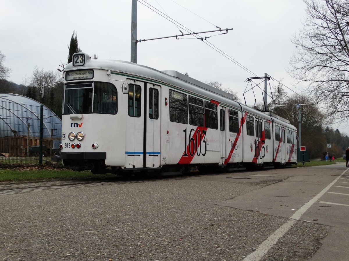 RNV Düwag GT8 202 1603 Bier Werbung am 22.02.15 in Leimen - Bahnbilder.de