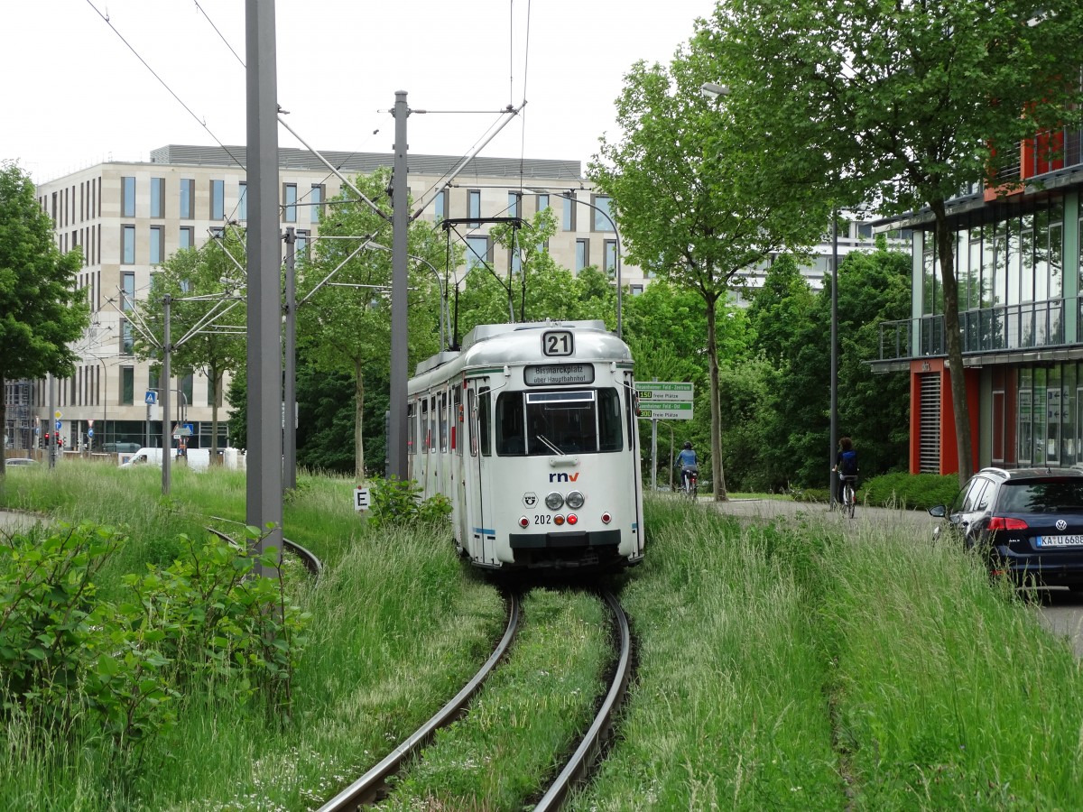 RNV Düwag GT8 202 am 08.05.15 in Heidelberg - Bahnbilder.de