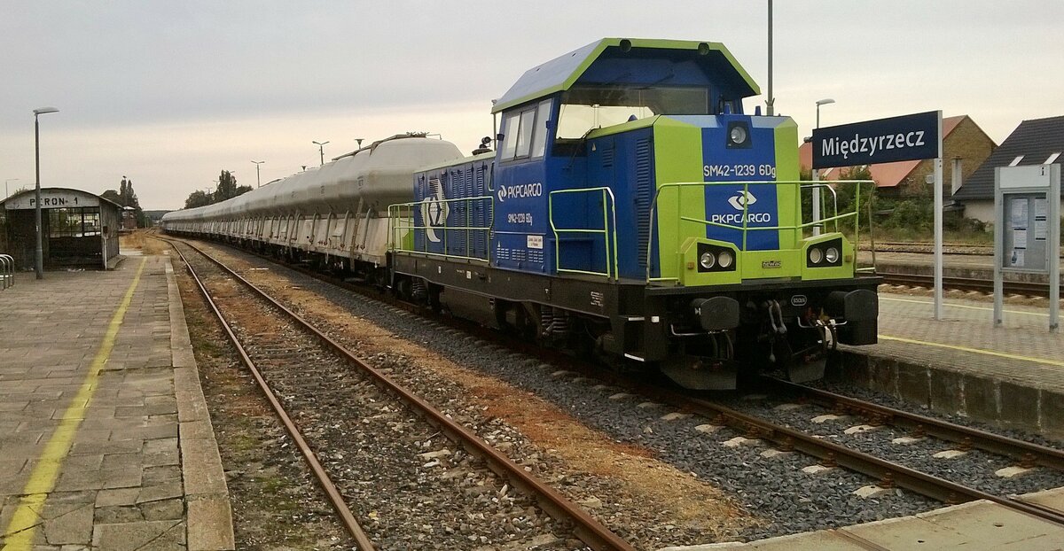 SM42-1239 mit Uacs am Haken in Bahnhof Miedzyrzecz, 14.09.2022 - Bahnbilder.de