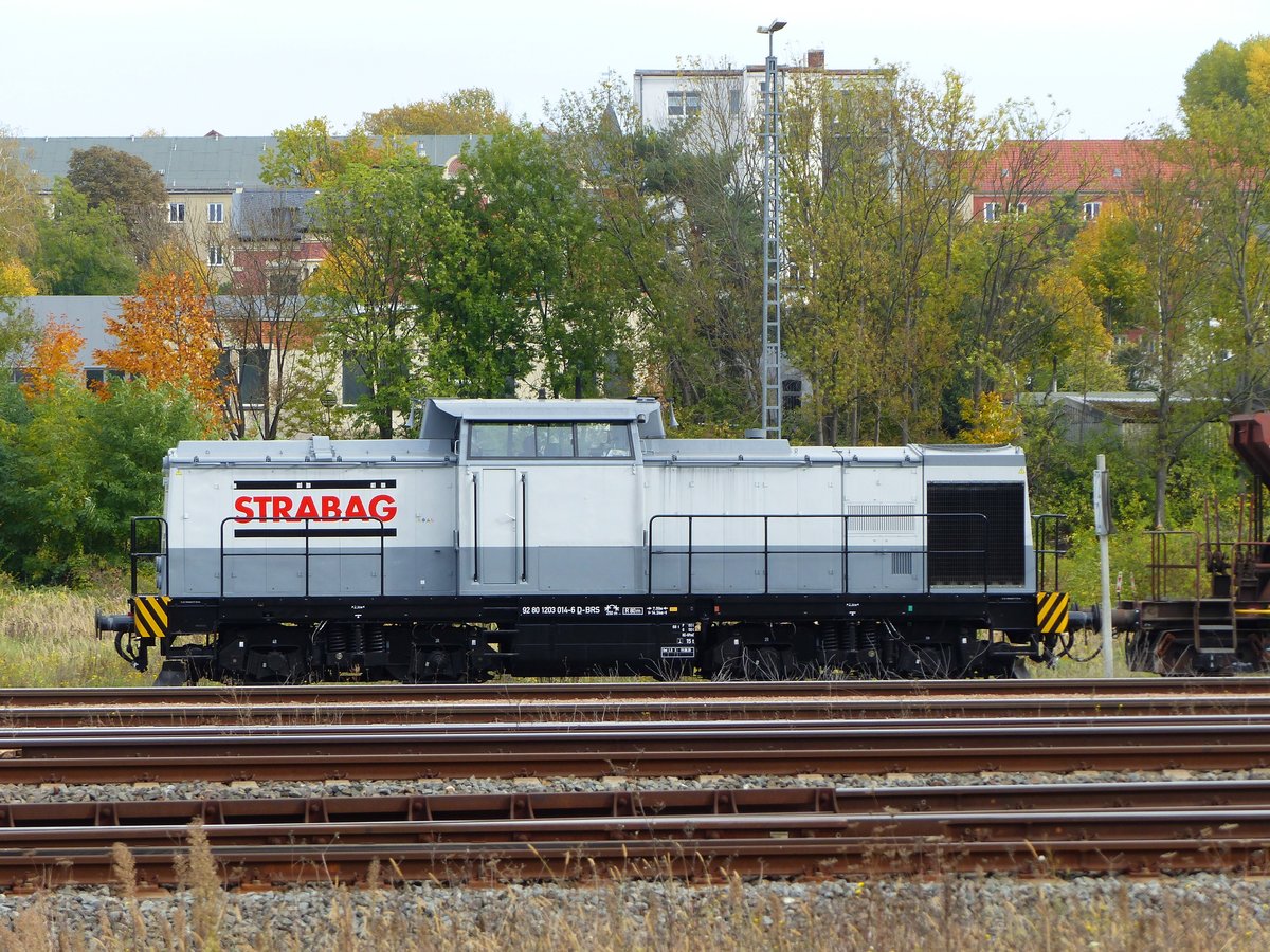 STRABAG-GOLIATH im Bf Alfeld (Leine) am 13.11.2011 - Bahnbilder.de