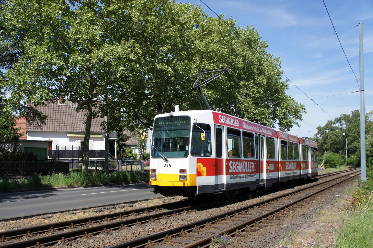 Straßenbahn Mainz: Duewag / AEG M8C der MVG Mainz - Wagen 275, aufgenommen im Mai 2015 in Mainz ...