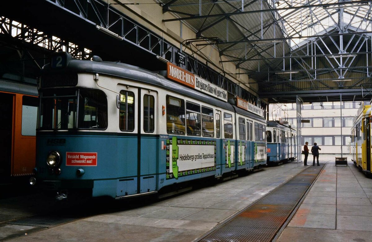 TW 231 und TW 215 der Straßenbahn Heidelberg im Depot - Bahnbilder.de