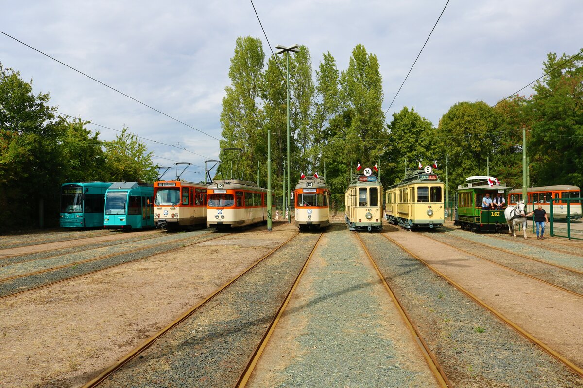 VGF Bomardier Flexity Classic S-Wagen 209, Düwag R-Wagen 003, Pt-Wagen 148, M-Wagen 102 und L ...