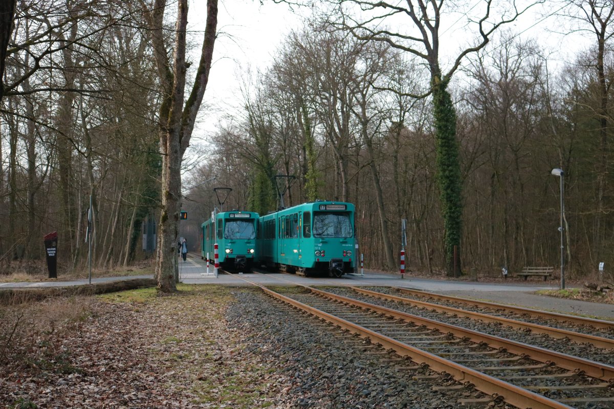 VGF Düwag Pt Wagen 749 und 727 am 22.02.21 in Frankfurter Stadtwald - Bahnbilder.de