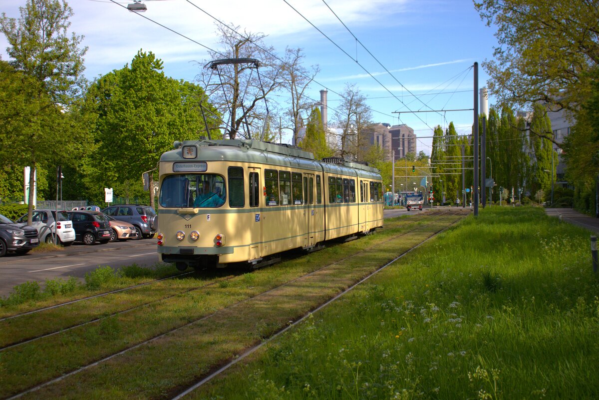VGF Straßenbahn Frankfurt am Main Düwag O-Wagen 111 als Osterhasenexpress am 19.04.25 in der ...