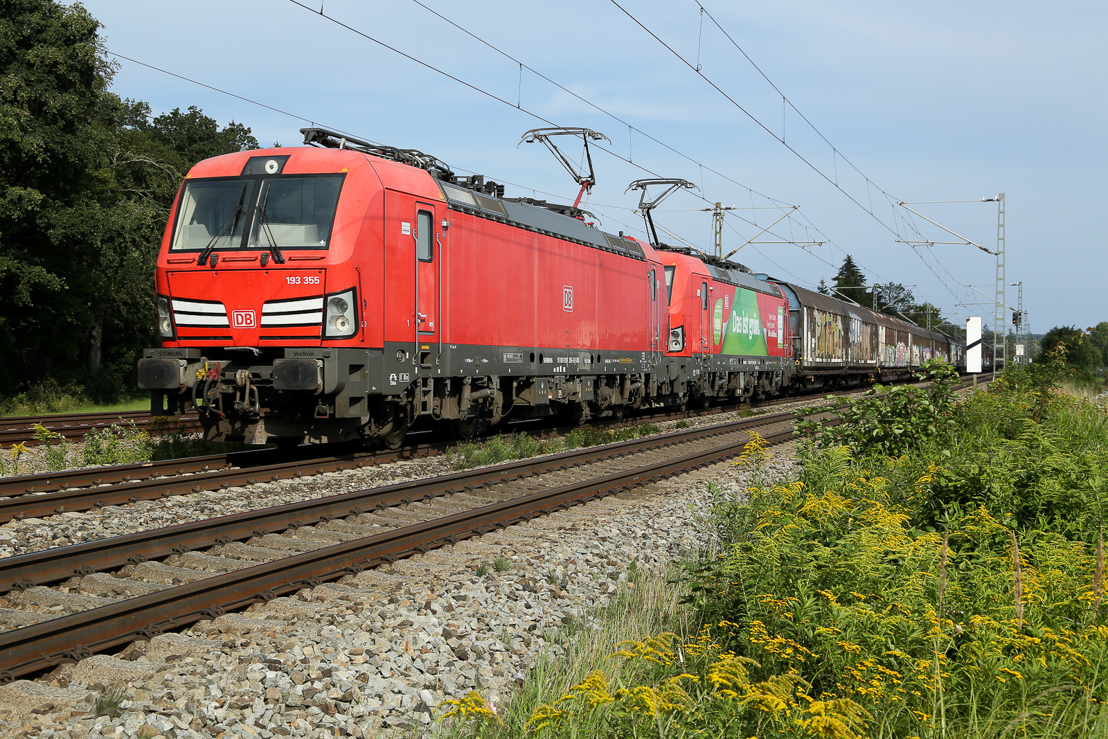 DB Cargo 193-355 zieht einen KLV Zug in Richtung München am 22.08.2024 bei Zorneding - Bahnbilder.de