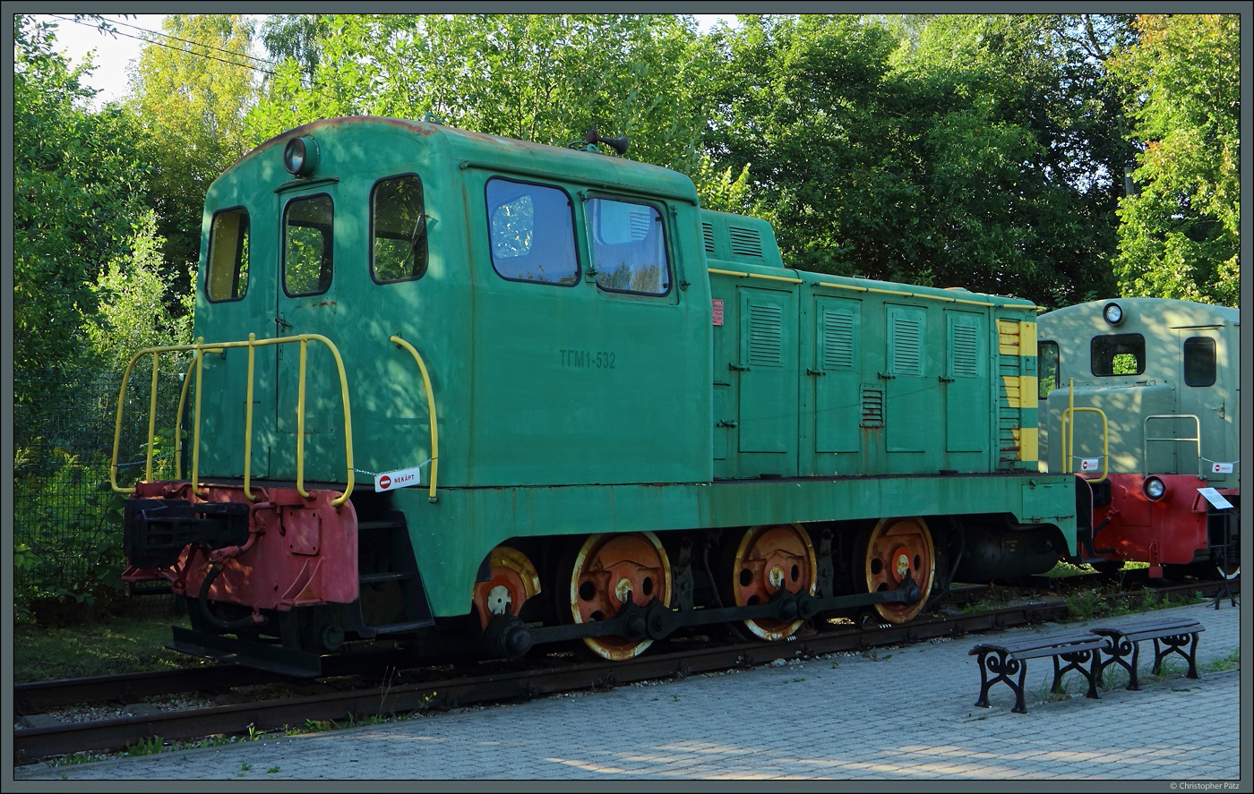 ТГМ1 | TGM1 Fotos - Bahnbilder.de